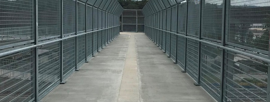 Pedestrian Cages – Patrick Johnstone